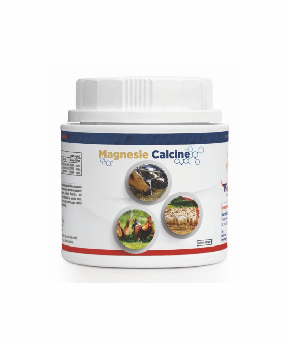 Magnesie Calcine