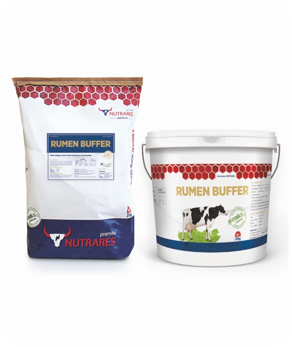 RUMEN BUFFER